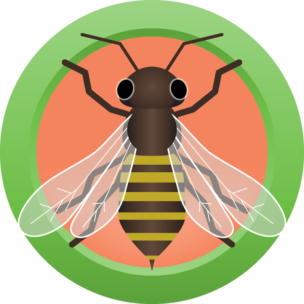 AHS Honey Ginger Lager (23) - ALL GRAIN Homebrew Ingredient Kit