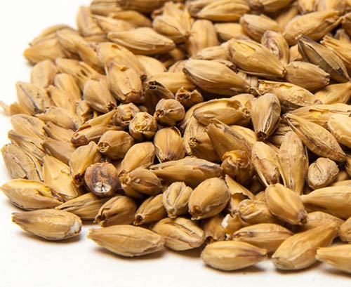 55 lb. Bag of Weyermann German Vienna Malt